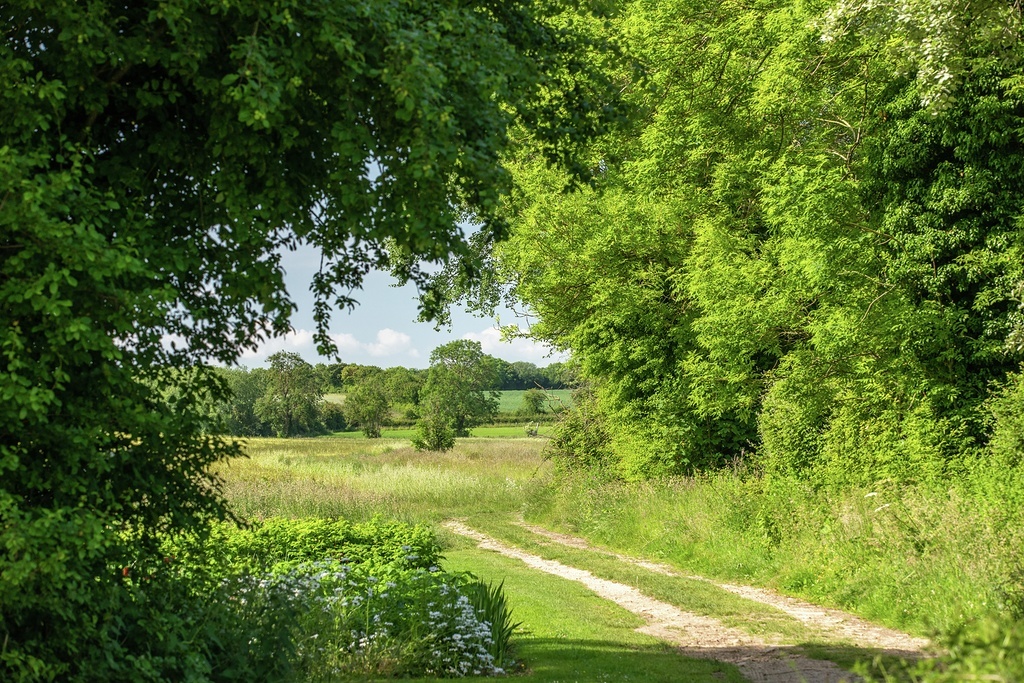 Stable Gardens, Fritwell | Homes in Oxfordshire | Cala Homes