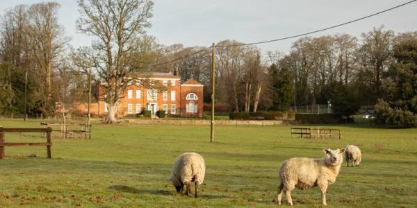 New Homes in Basingstoke | Site Plan at Worting Park | Cala Homes