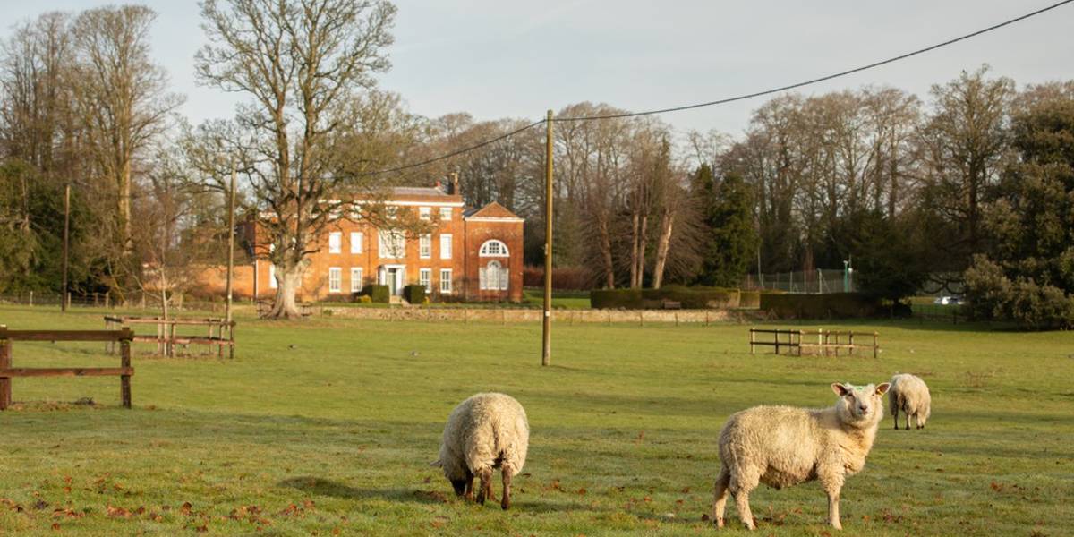 New Homes in Basingstoke | Worting Park | Cala Homes