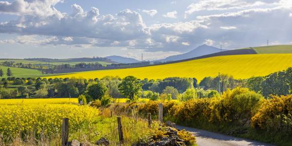 Conglass Brae | Find your dream home in Inverurie | Cala homes