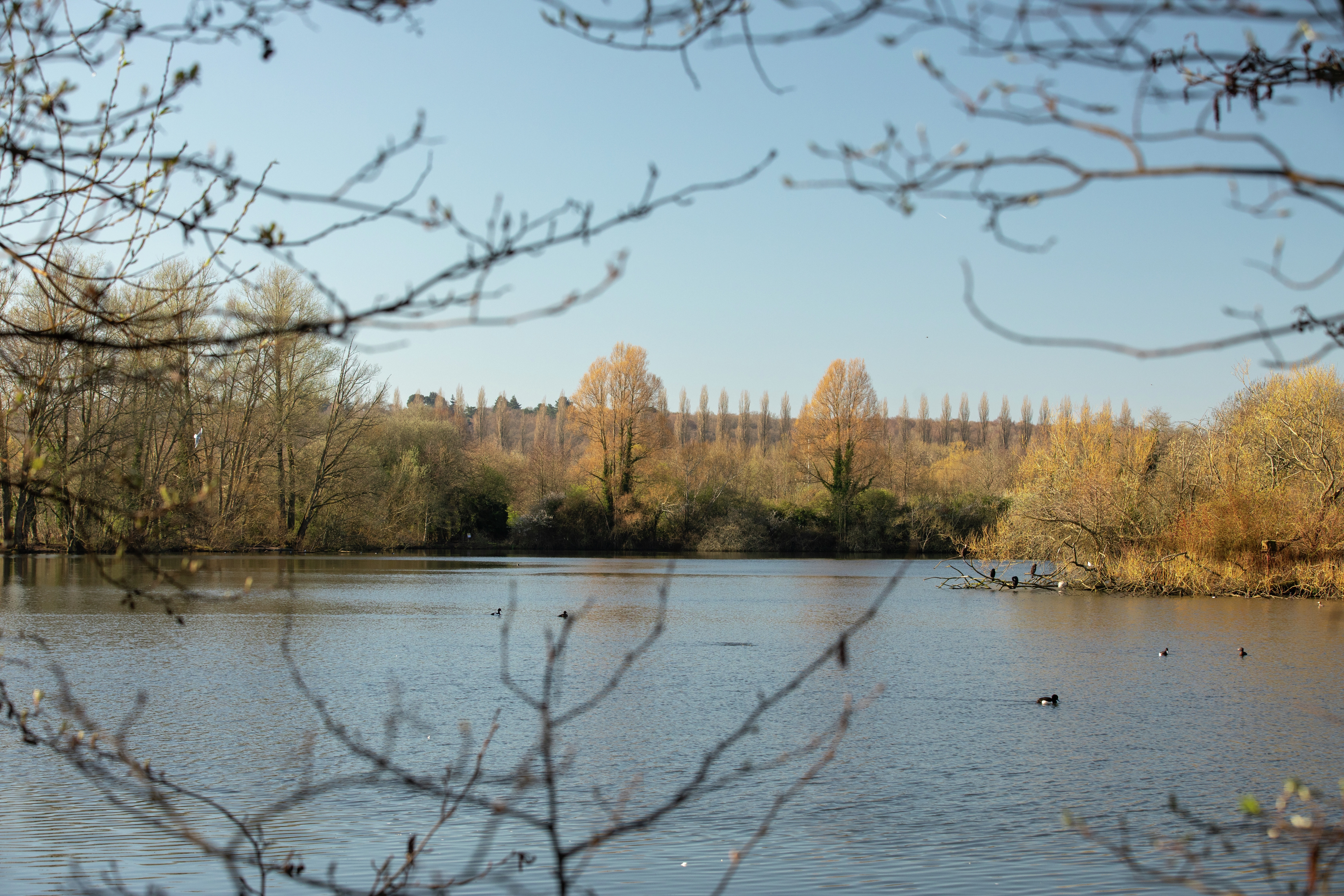 Knights Grove, Newbury | Homes In Berkshire | Cala Homes