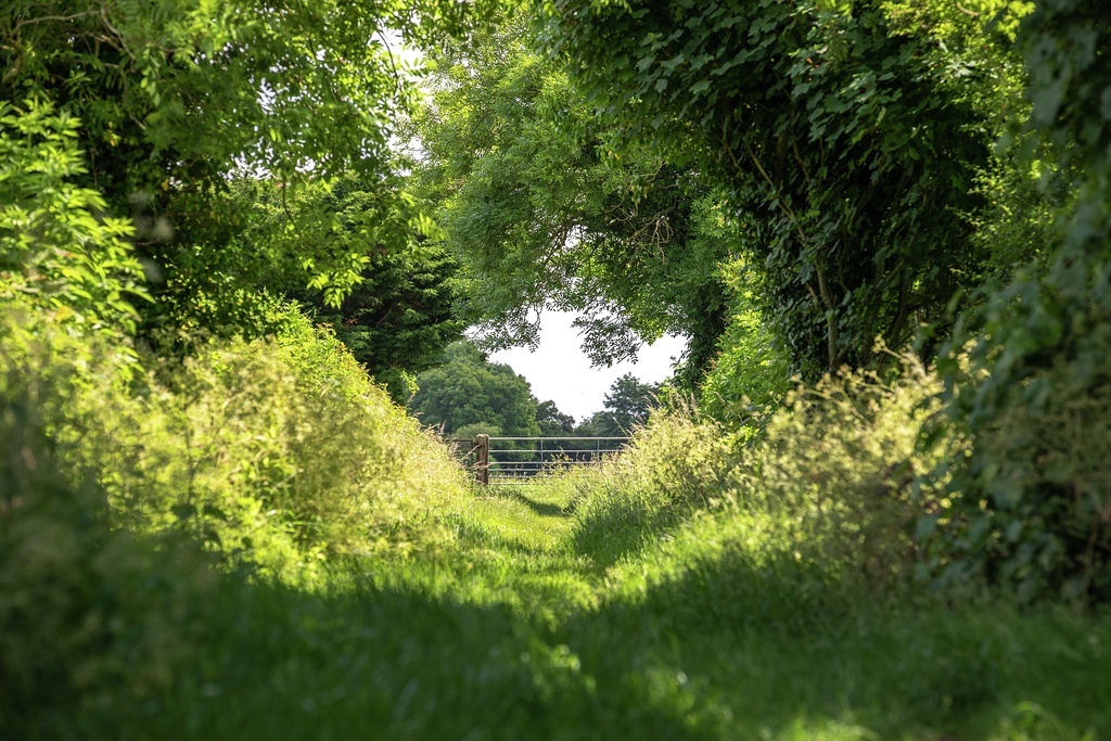 Stable Gardens, Fritwell | Homes in Oxfordshire | Cala Homes