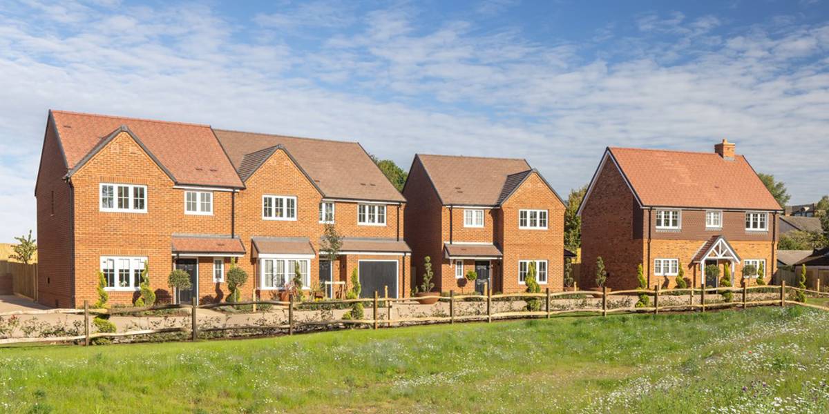 Birchwood, Farnham | New homes in Farnham, Surrey | Cala Homes