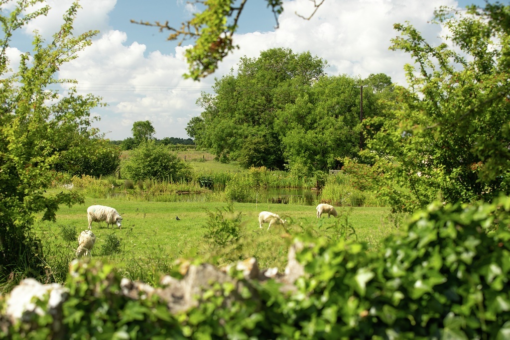 Stable Gardens, Fritwell | Homes in Oxfordshire | Cala Homes