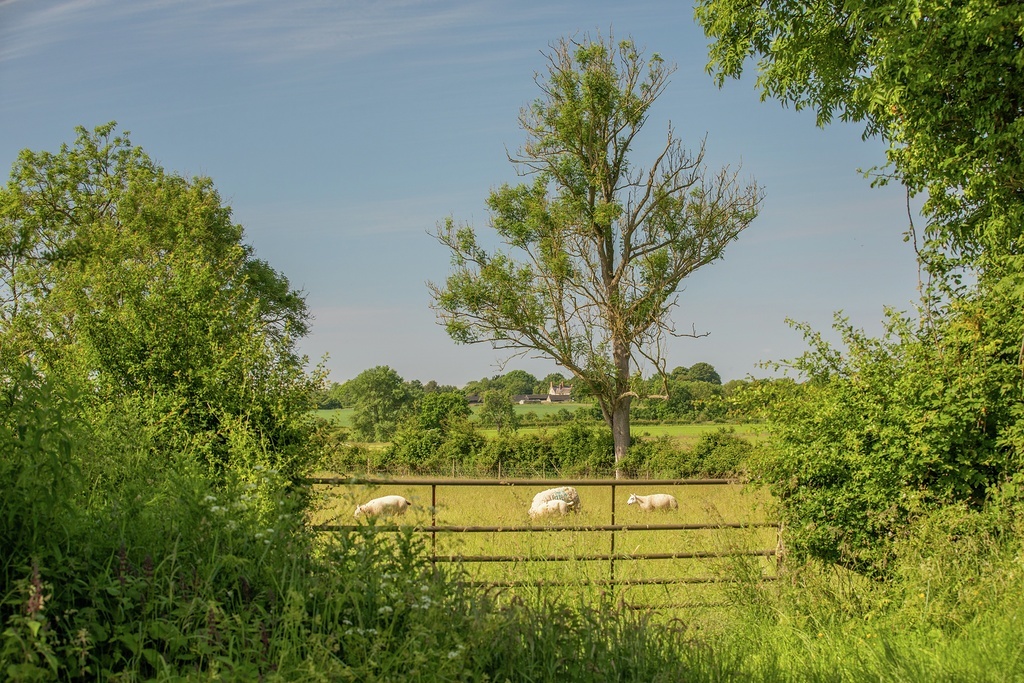 Stable Gardens, Fritwell | Homes in Oxfordshire | Cala Homes