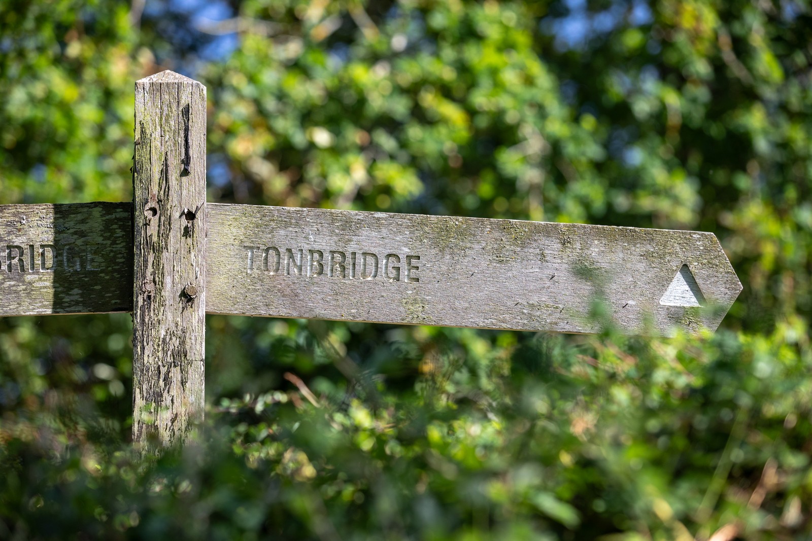 Barden Croft Tonbridge | Homes in Kent | Cala Homes