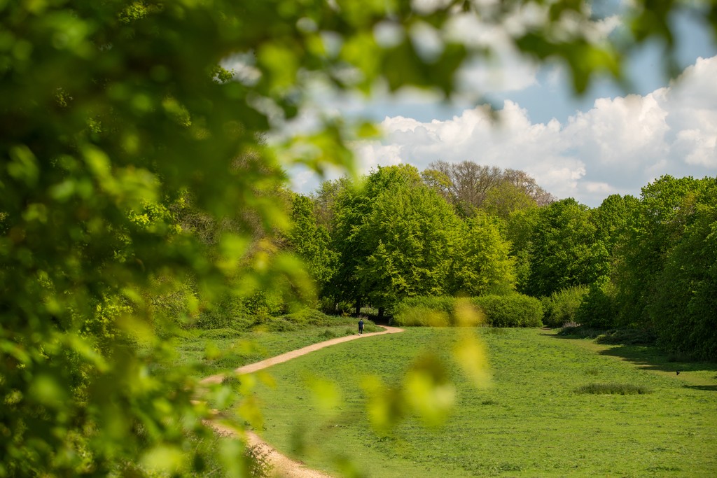 Worting Park | New Homes in Basingstoke | Cala Homes