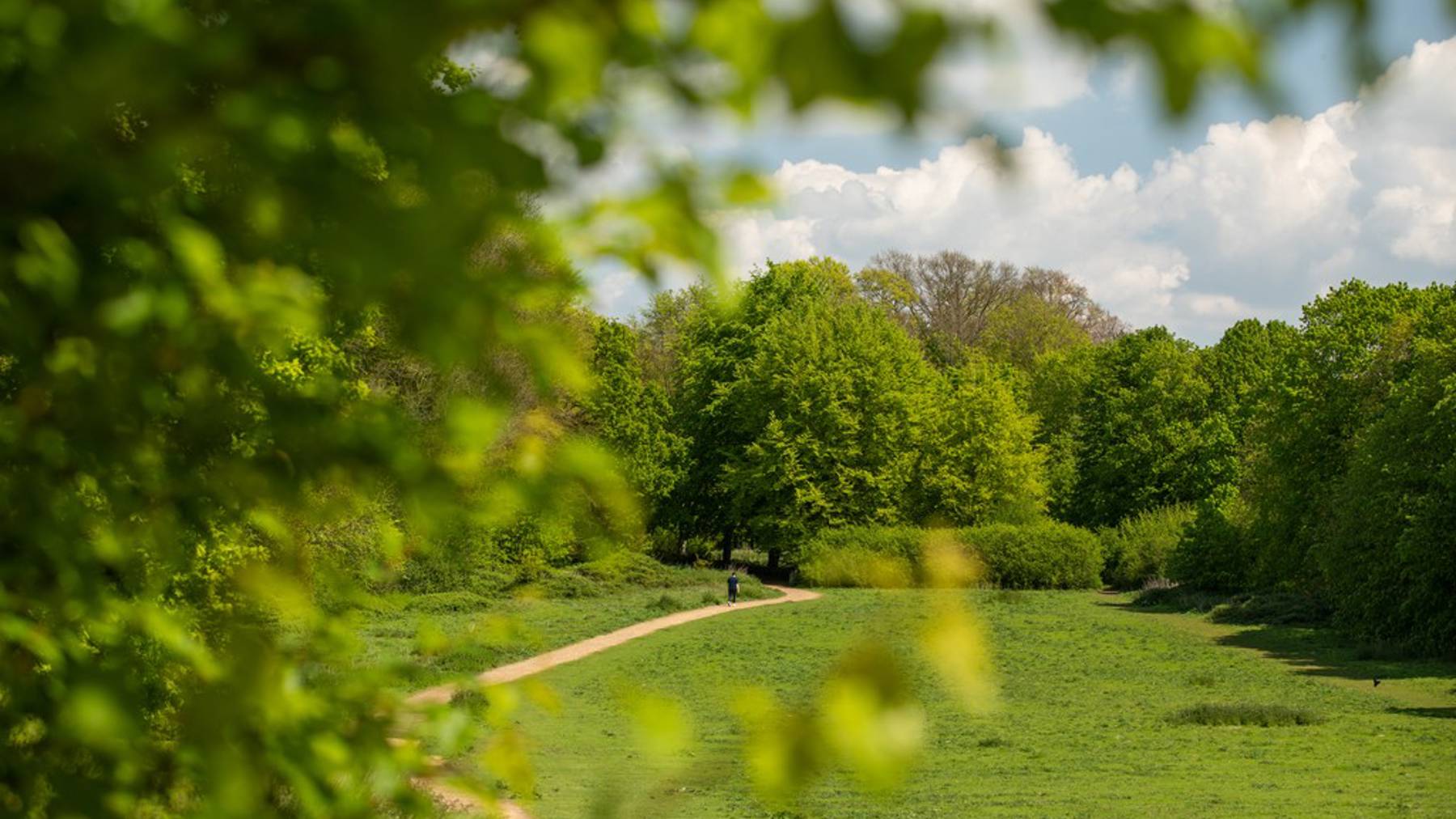 Worting Park | New Homes in Basingstoke | Cala Homes