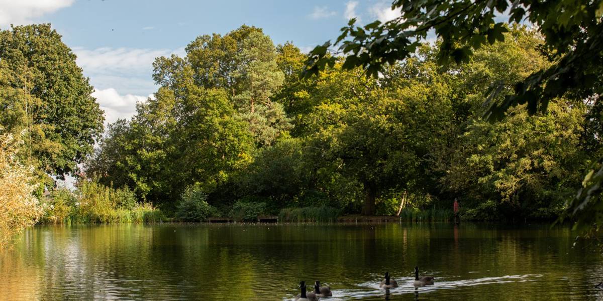 Availability & Prices | Sambrooke Park | Cala Homes