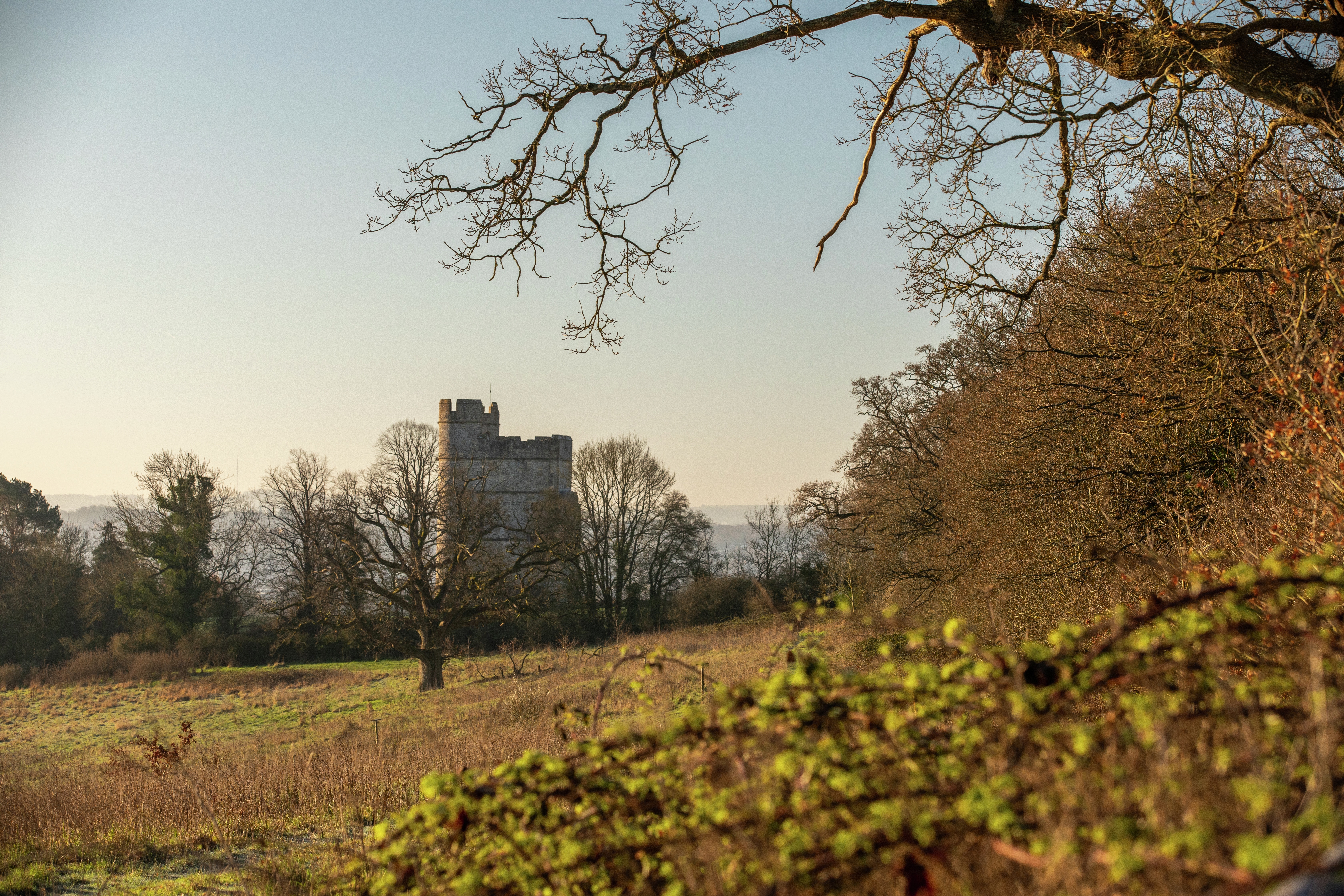 Knights Grove, Thatcham | Homes In Berkshire | Cala Homes