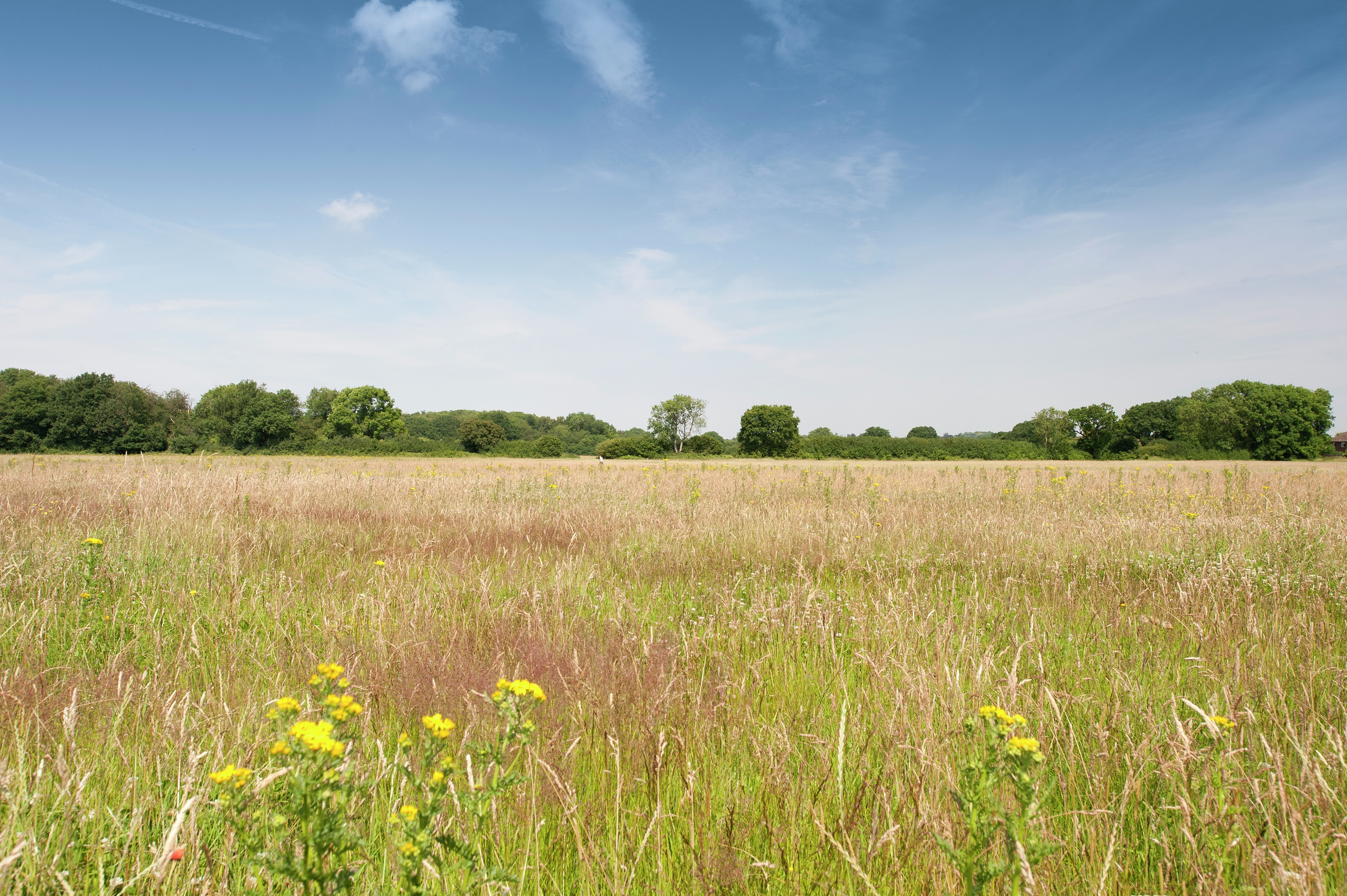 Cala at Warlingham | Homes in Surrey | Cala Homes