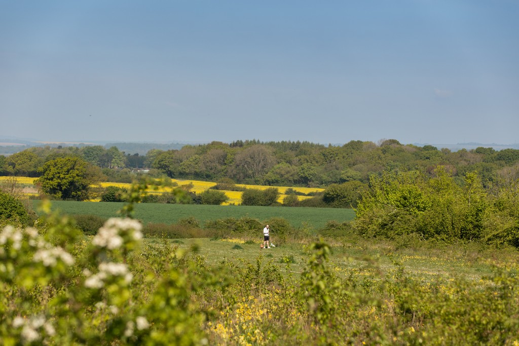 New Homes in Basingstoke | Location of Worting Park | Cala Homes